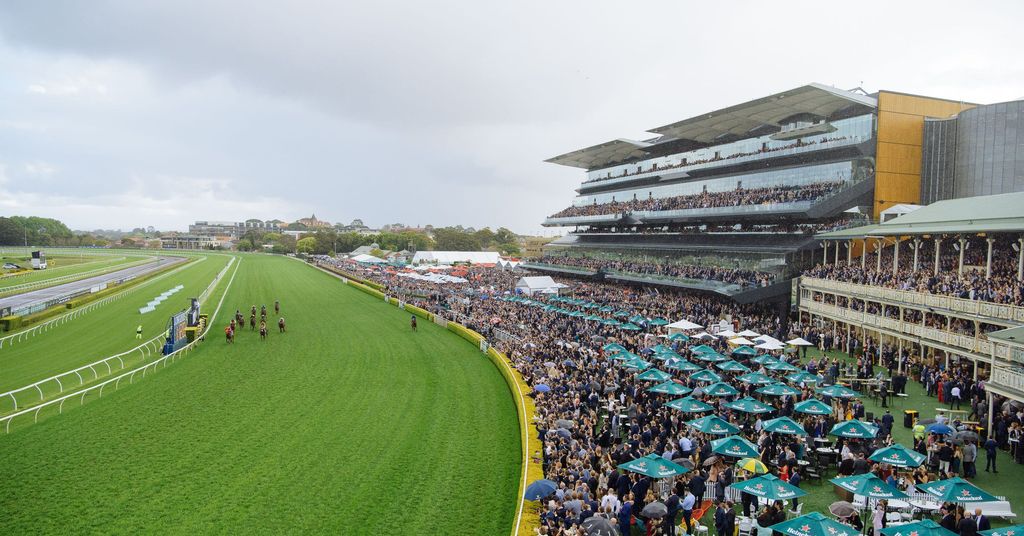 Hansen's thoroughbreds going for double glory | World Rugby