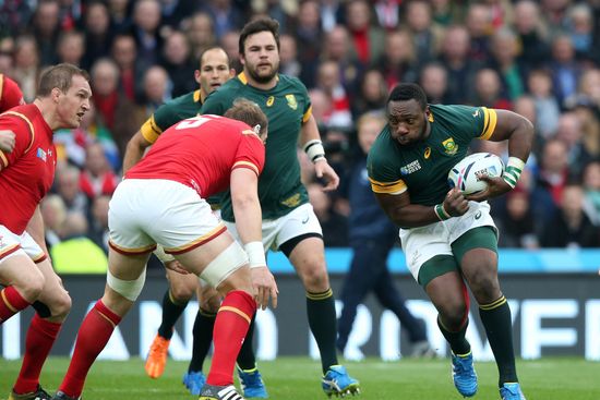 'We want to become number one in the world again' | World Rugby