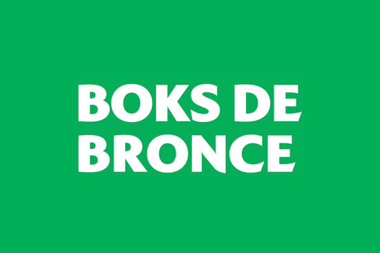 Bronze Boks | World Rugby