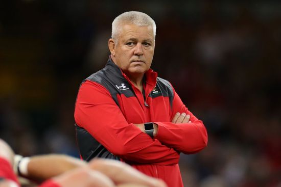 Cambio en el plantel de Gales para lo que resta de la Rugby World Cup ...