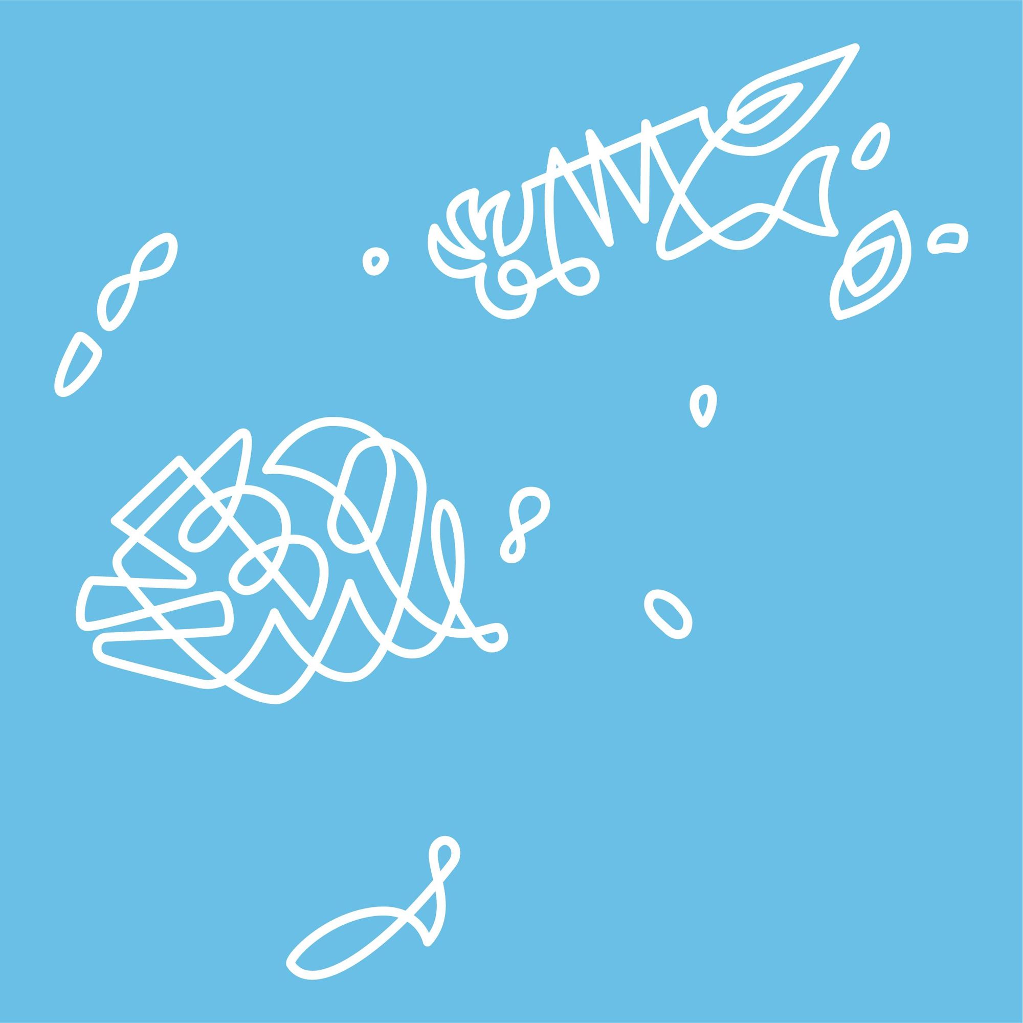 RWC 2023 Spotlight: Fiji ｜ Rugby World Cup 2023