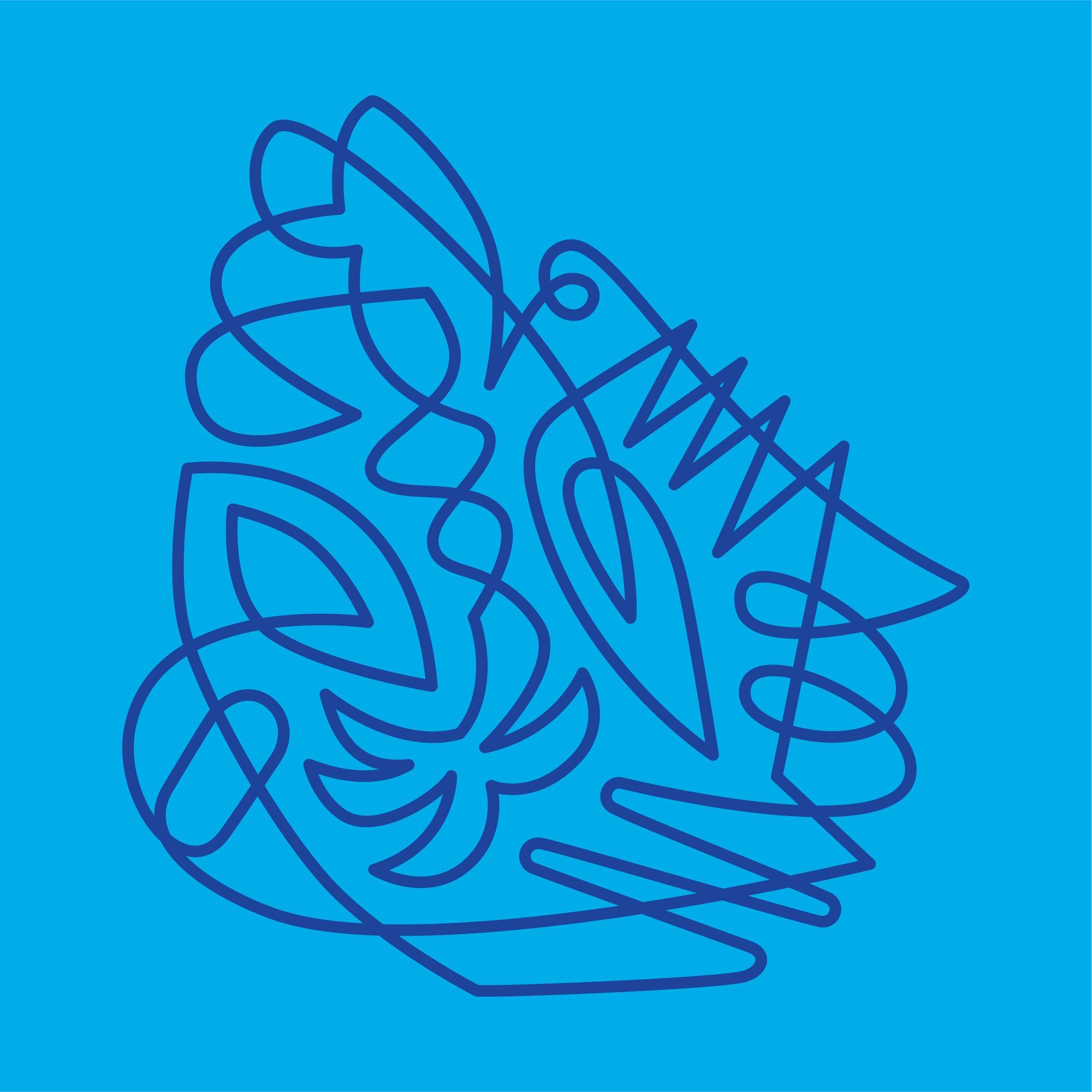 RWC 2023 Qualifier Spotlight: Uruguay ｜ Rugby World Cup 2023