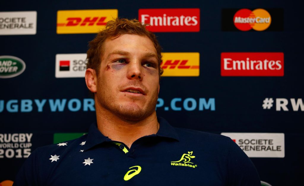 David Pocock, king of breakdown jungle, wants to meet hero Attenborough ...